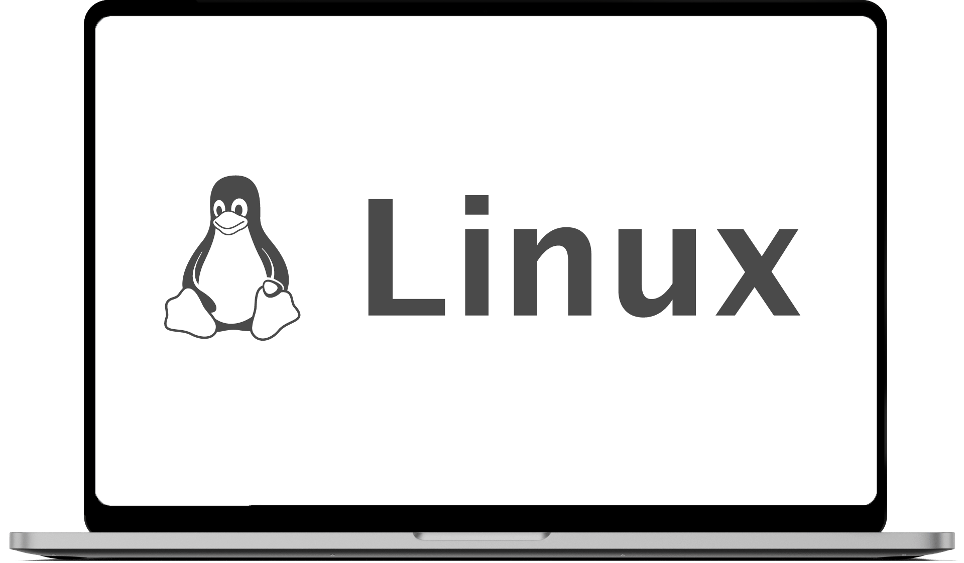 Linux Command 锤子v君 7910